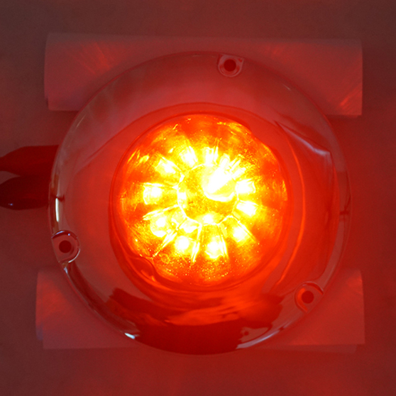 Legendary 3.5" Watermelon LED Light with Glass Lens & Bezel Flat